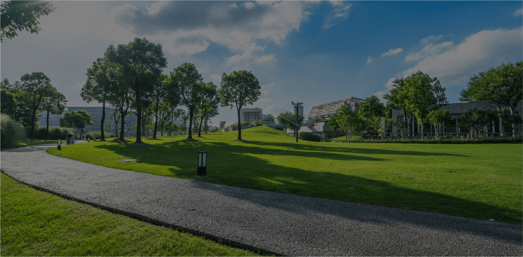 Green Guardian: California Tree Management Plans